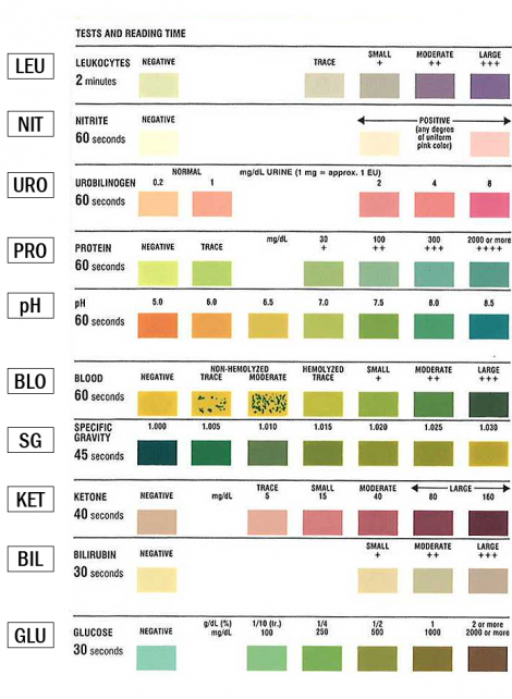 MultiStix 10SG Urinalysis Test Strips